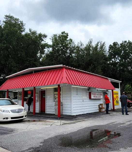 southern fried chicken florida ftr