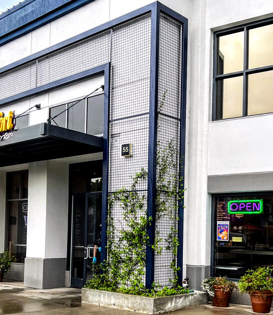 southern style chicken california ftr