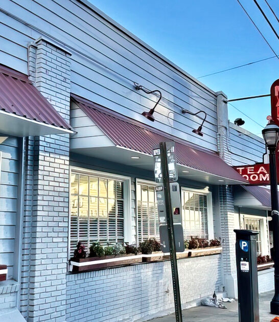 southern style chicken georgia ftr