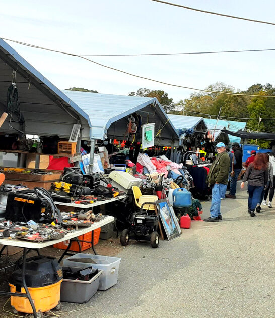spring bazaars north carolina ftr