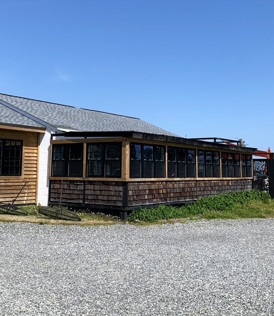 states best oysters virginia ftr