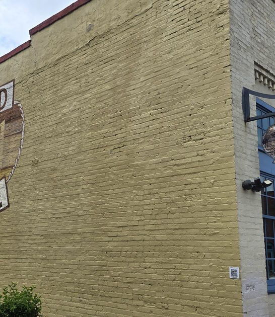 steaks unassuming north carolina ftr