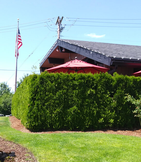 strawberry pies oregon bakery ftr