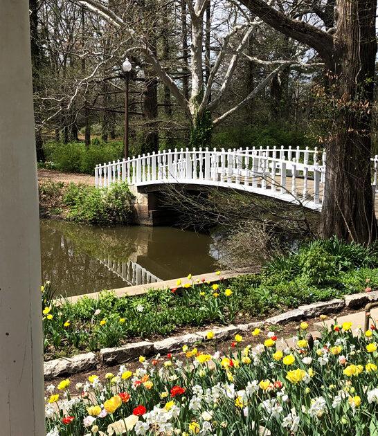 stunning arboretum kansas ftr
