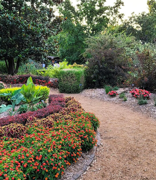 stunning garden arkansas ftr