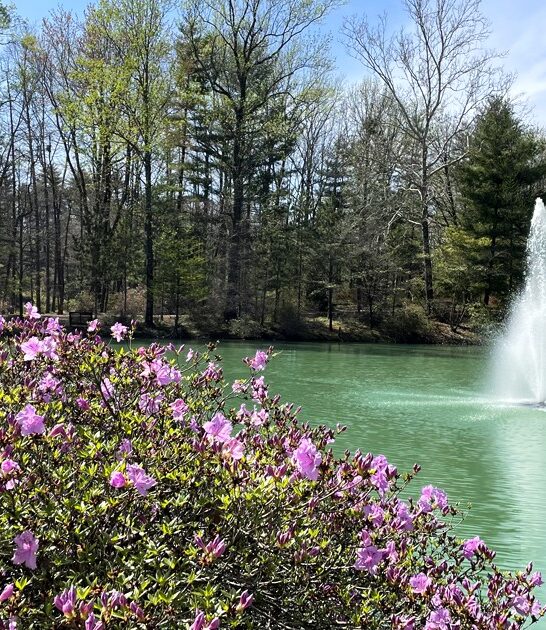 stunning garden hiding indiana ftr