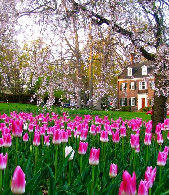 stunning park maryland ftr