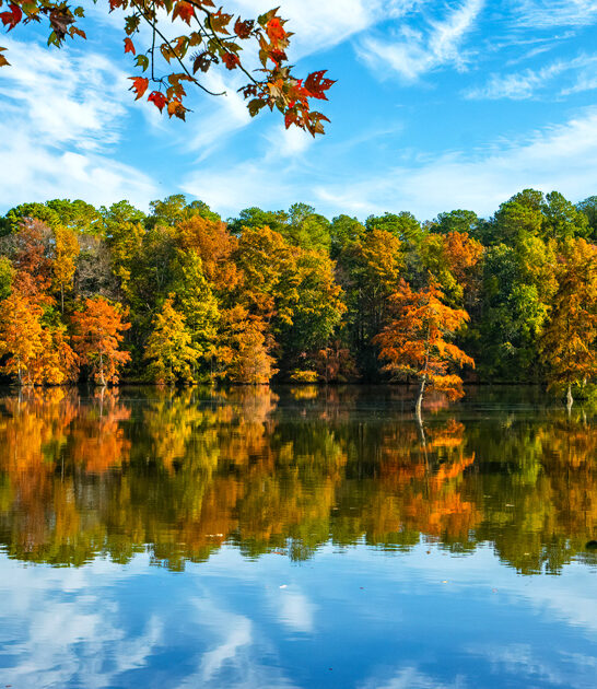stunning state park delaware ftr