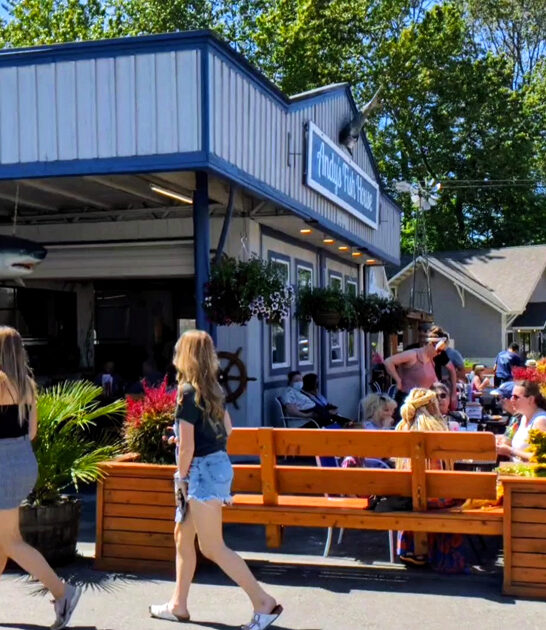 taste seafood spots washington ftr