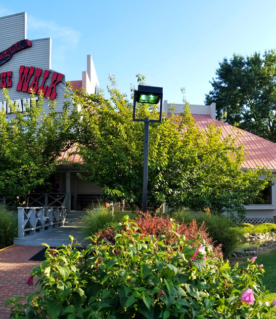 tennessee seafood spots ftr