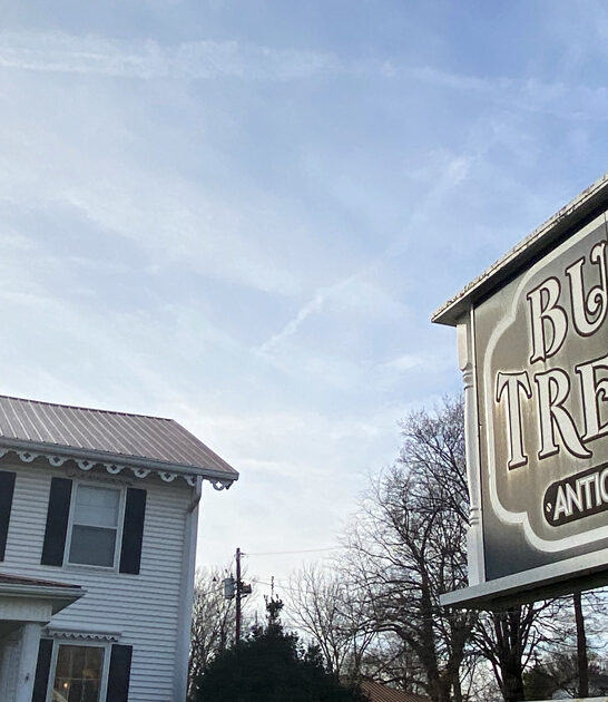 thrift store bargain kentucky ftr