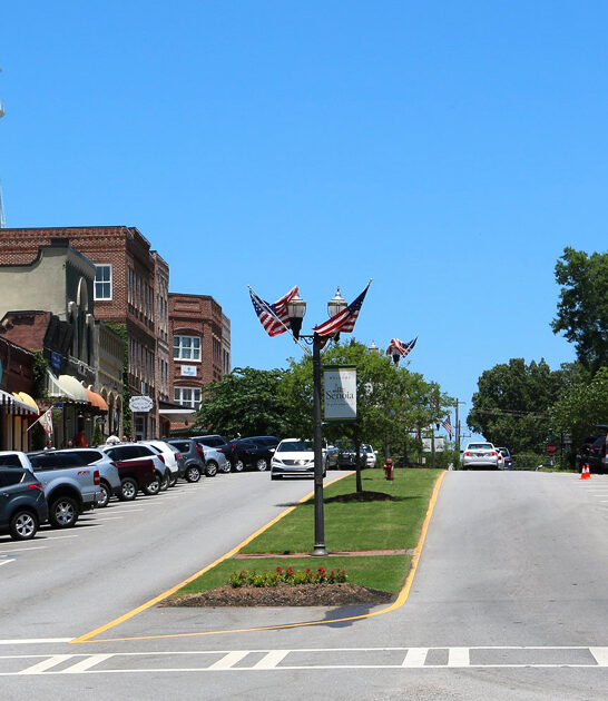 town georgia gorgeous ftr