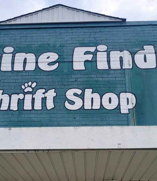 treasure store north carolina ftr