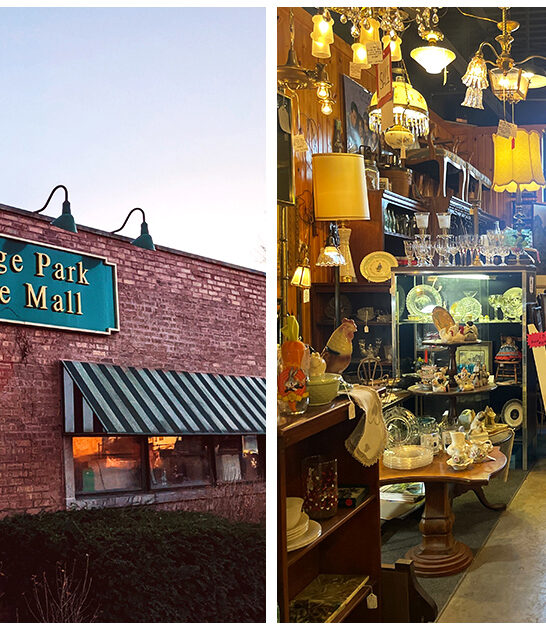 treasures-antique-store-illinois FTR