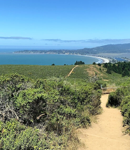 trip fascinating california park ftr