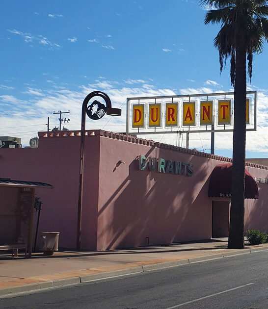 unassuming arizona steak strips ftr