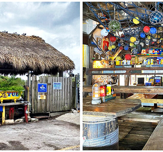 unassuming florida burgers famous ftr