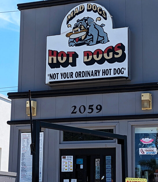 unassuming florida hot dogs ftr