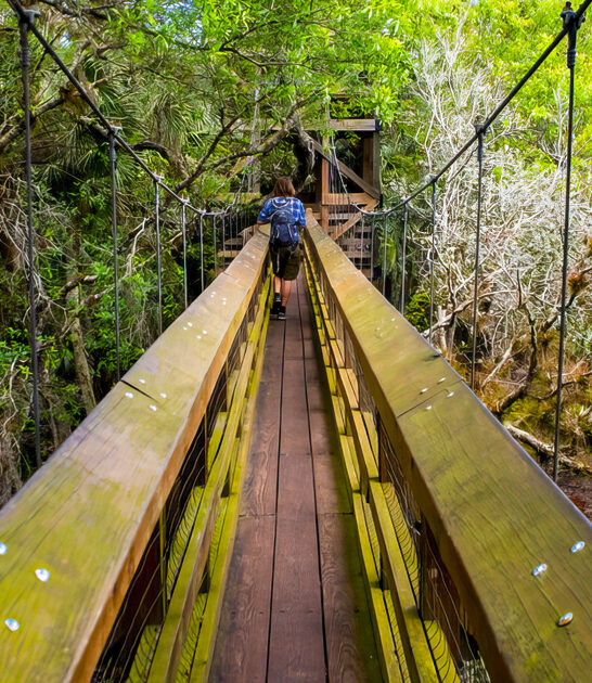 underrated florida park ftr