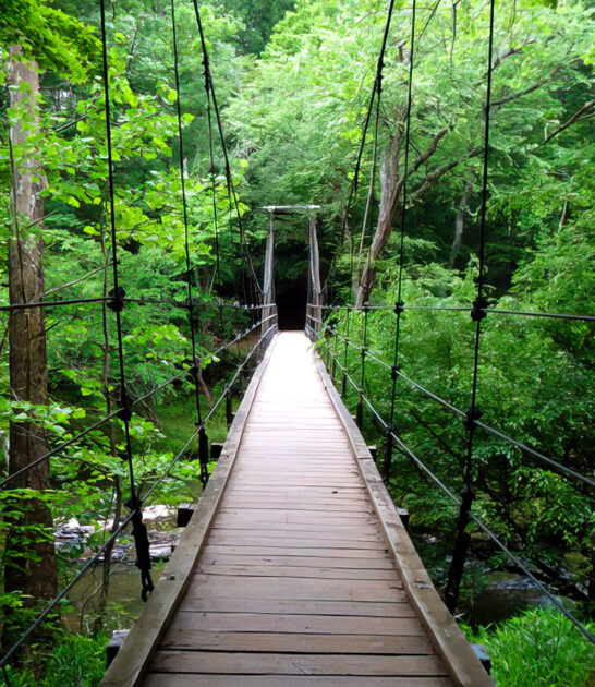 underrated north carolina park ftr