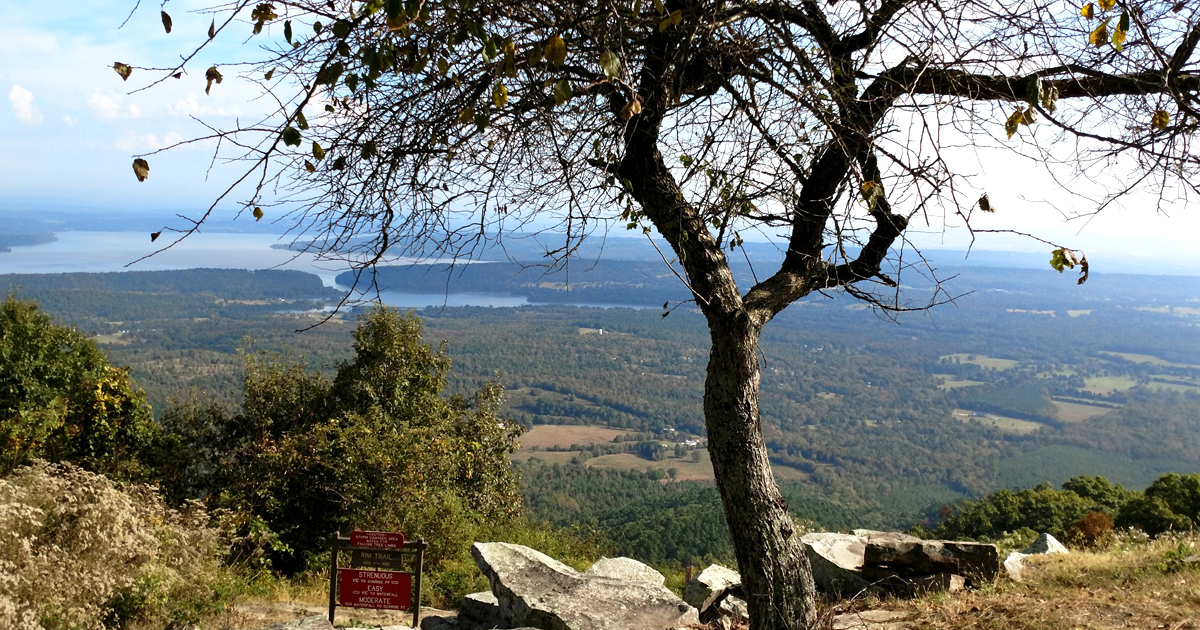 The Underrated State Park In Arkansas That’s Perfect For A Spring Break ...