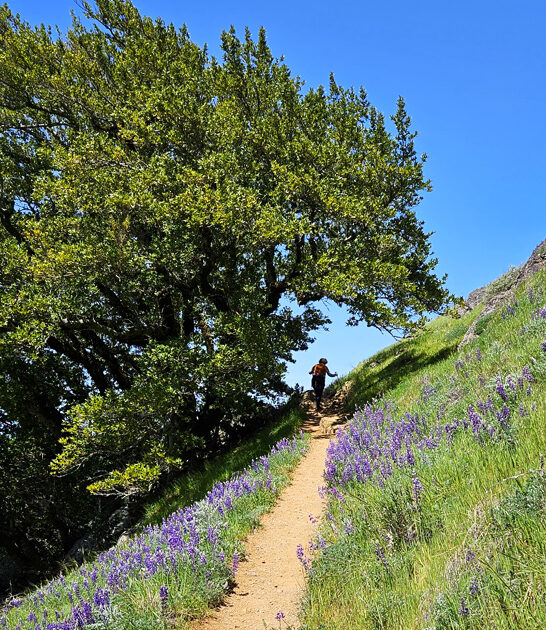 underrated park california hidden ftr