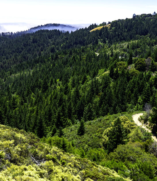 underrated park california spring ftr