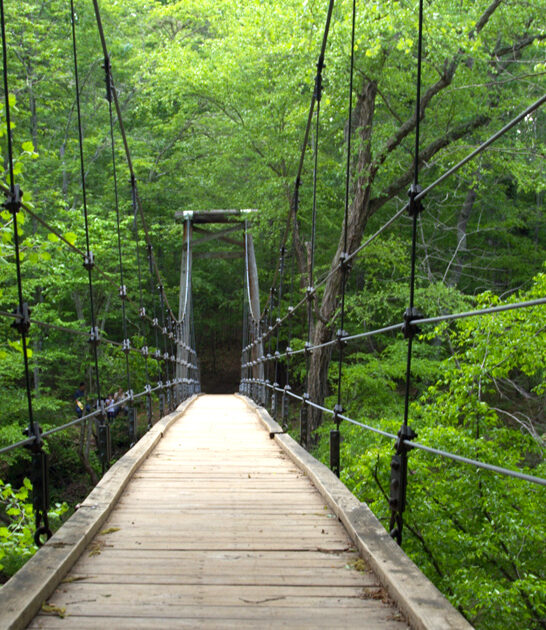 underrated park north carolina ftr