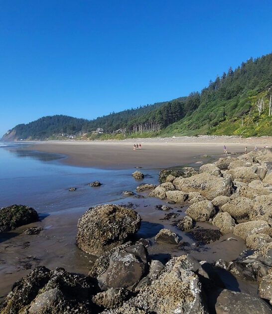 underrated state oregon park ftr