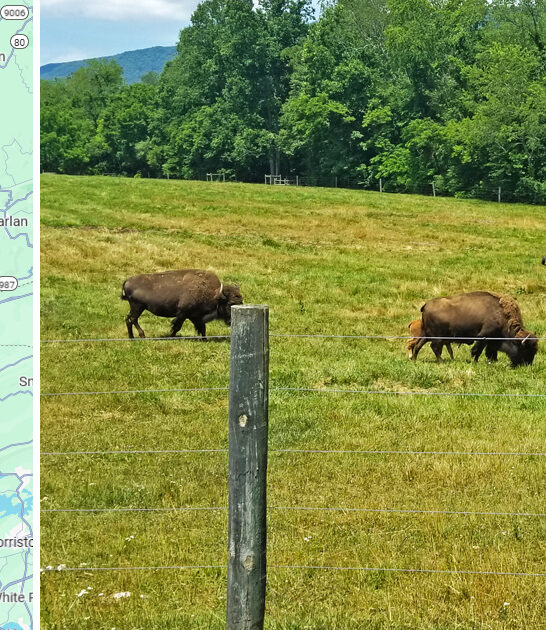 virginia beautiful state park ftr