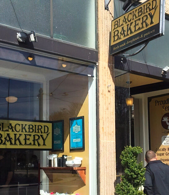 virginia best cinnamon rolls ftr