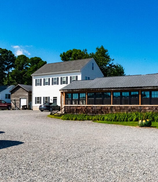 virginia best oysters ftr