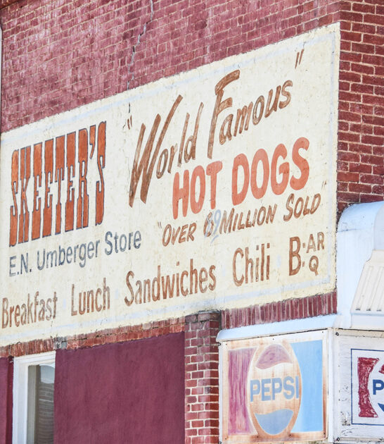 virginia delicious hot dogs ftr