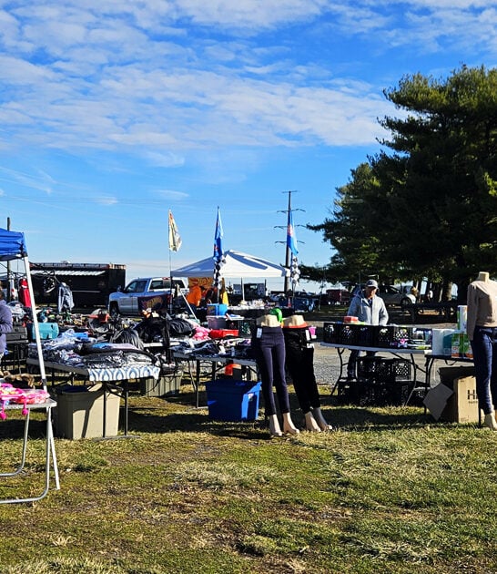 virginia hunt treasures ftr