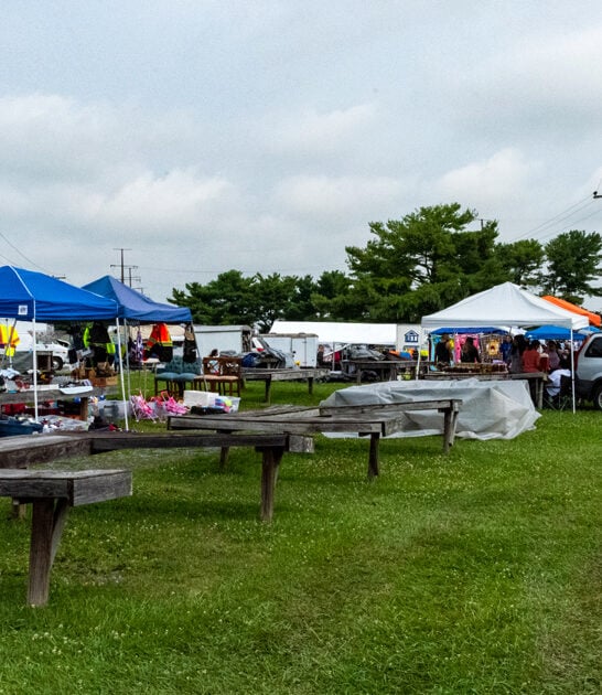 virginia massive bazaars deals ftr