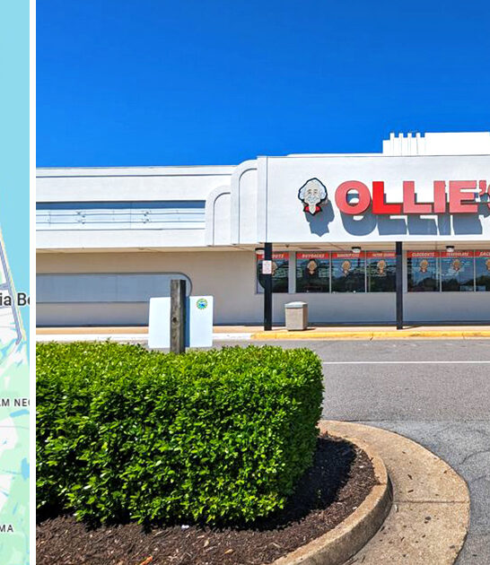 virginia massive discount store ftr