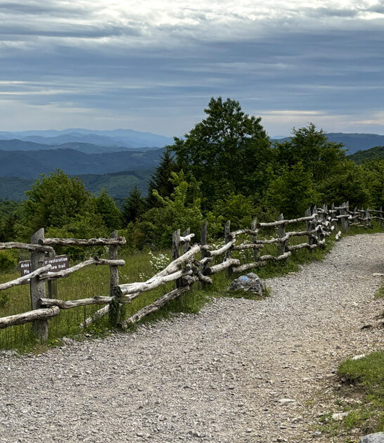 virginia perfect spring trip ftr