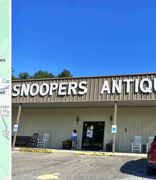 virginia rare vintage treasures ftr