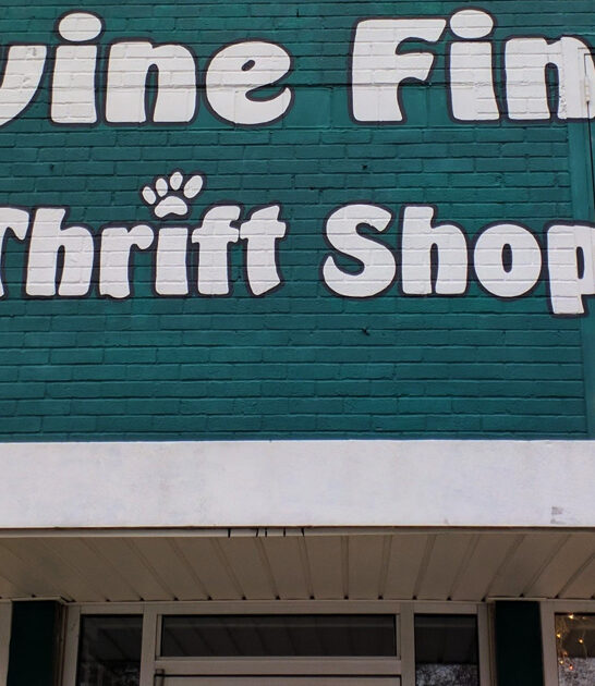 wonderland store north carolina ftr