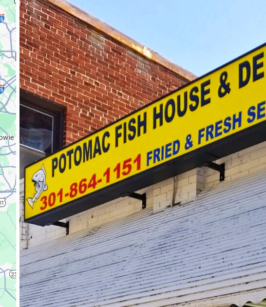 worth fried fish maryland ftr