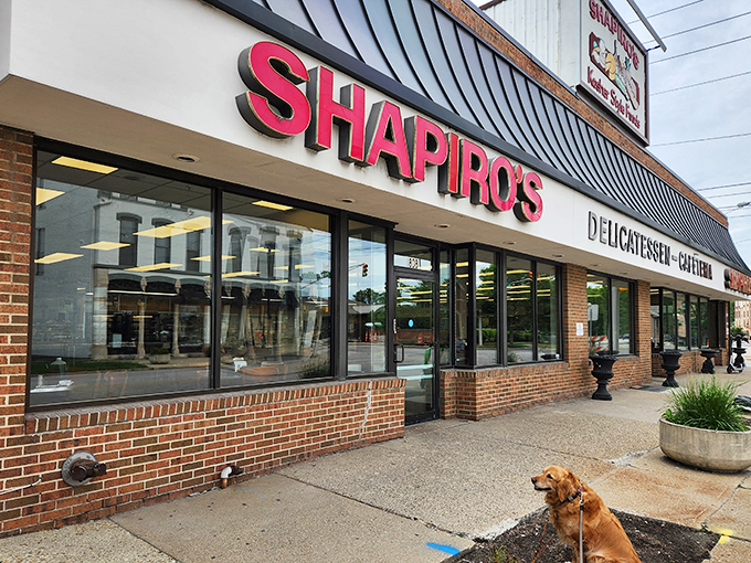"The understated brick fa&ccedil;ade of Shapiro's hides a culinary landmark where sandwich legends are born daily. Indiana's delicatessen royalty since 1905."