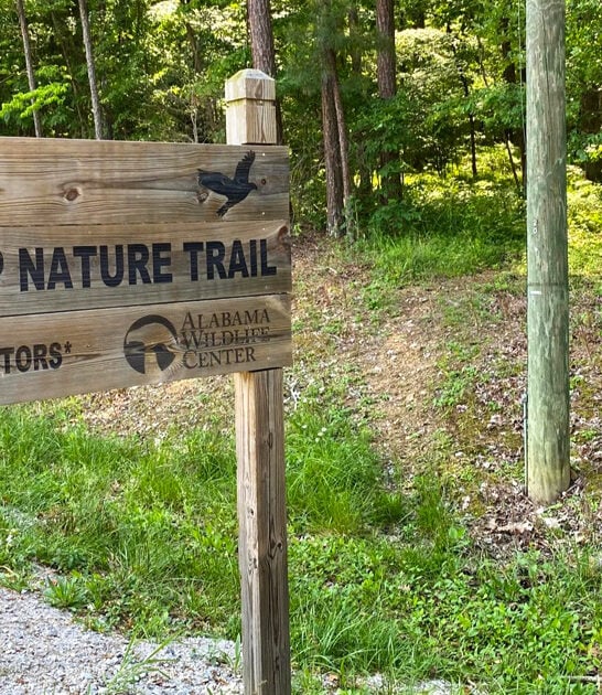 1 mile hike alabama ftr