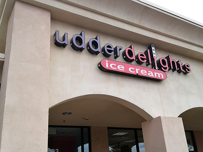 Udder Delights nestles between neighboring shops in this Gilbert strip mall&mdash;proof that extraordinary ice cream experiences often hide in ordinary places.