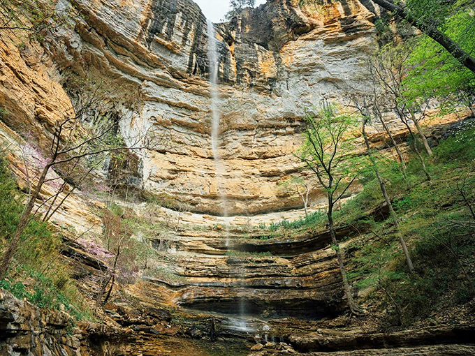Nature's skyscraper in reverse &ndash; Hemmed-In Hollow's 209-foot cascade plummets down layered limestone cliffs, creating a spectacle worth every step of the journey.