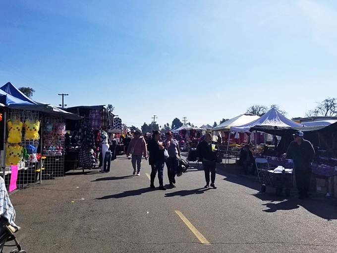 Sunshine, straw hats, and endless possibilities stretch before you at Madera's weekend wonderland. The treasure hunt begins!