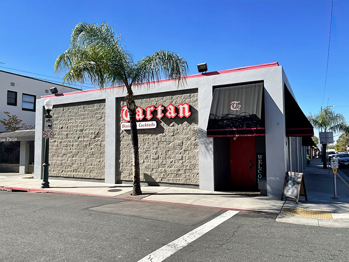 The iconic red Tartan sign beckons like a lighthouse for hungry souls. That bright red door promises culinary adventures within those stone walls.