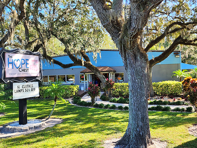 The HOPE Chest welcomes bargain hunters under Florida's majestic oak trees, where the blue building promises treasures within like a retail oasis.