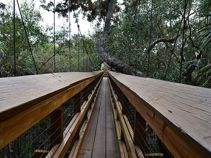 The suspended walkway stretches ahead like nature's welcome mat, inviting you to step into a world where trees, not humans, make the rules.