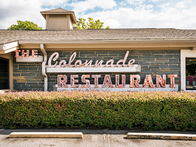 The unassuming exterior of The Colonnade has been beckoning Atlanta's hungry souls for decades, proving that culinary treasures don't always hide behind flashy facades.