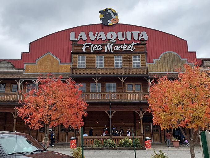Like a Western film set with a bovine twist, La Vaquita's striking red facade welcomes treasure hunters with rustic charm and the promise of discoveries waiting inside.